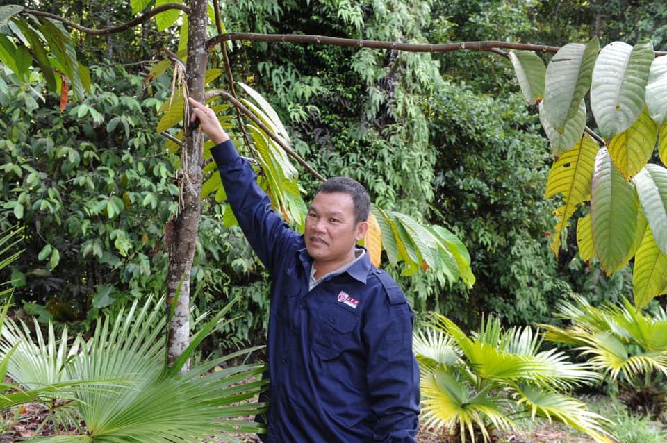 BINTULU, 28 Oktober - Penanaman pokok Engkabang di Universiti Putra ...